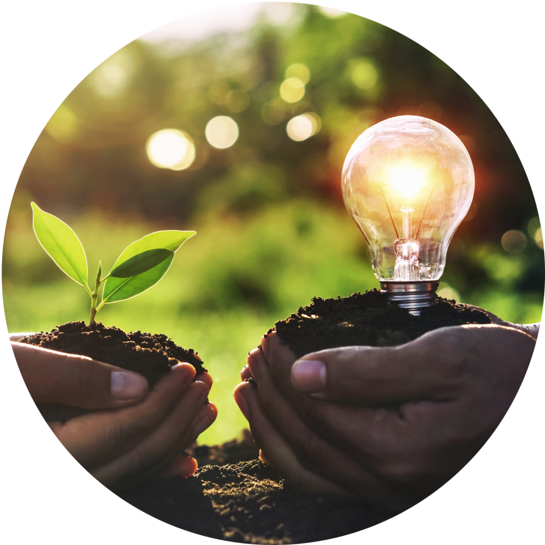 Home Page - Optimum Card Solutions | Card Printing & Fulfillment